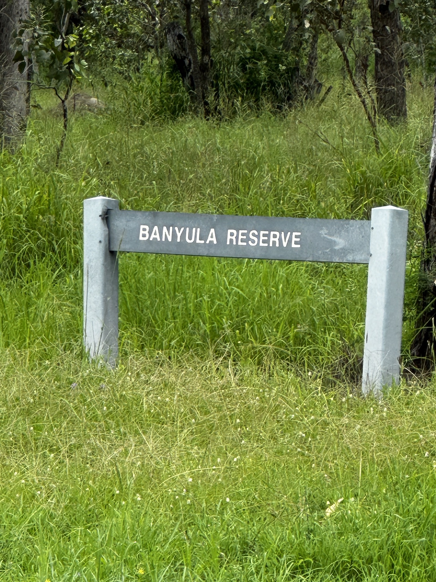 Thagoona Development Statuses and Stews. – The Girral Grump